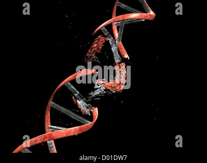 DNA string with clipping path,3d model with bone material Stock Photo ...