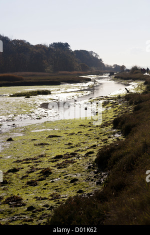 Salt marsh and mud flats alongside the River Kent estuary at Arnside ...