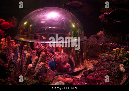 Atlantis submarine ride at Legoland theme park, Windsor, England ...