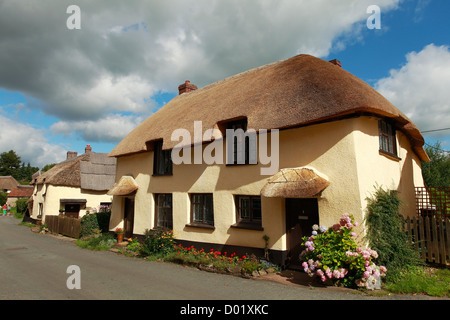 Thatched cottages in Broadhembury village East Devon England uk in the ...