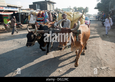 traditional indian bullock cart transport through the fields near ...