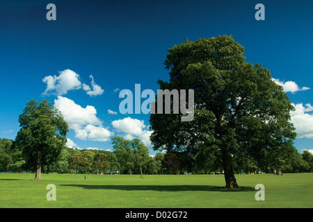 South Inch, Perth, Perthshire Stock Photo: 51687785 - Alamy