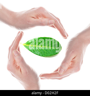 hand, hands, ecology, environmental protection, globe, planet, earth ...