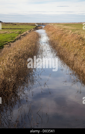 Drainage channel, Cley Marsh, North Norfolk, UK Stock Photo - Alamy