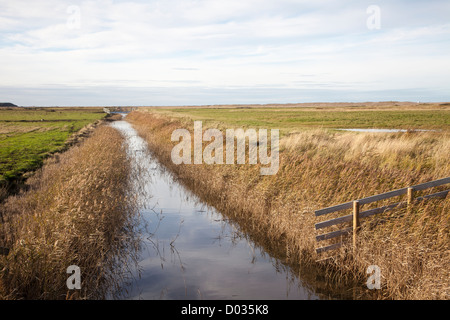 Drainage channel, Cley Marsh, North Norfolk, UK Stock Photo - Alamy