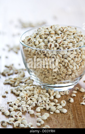 Job's Tears, Coixseed, Tear Grass, Hato Mugi, Adlay or Adlai Boiling in ...