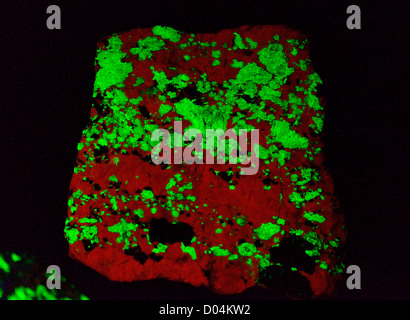 Fluorescent mineral willemite (zinc silicate Zn2SiO4) glowing green ...