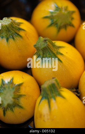 Round Yellow Courgettes Stock Photo - Alamy