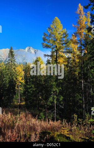 Autumn in Tatry mountains Stock Photo - Alamy