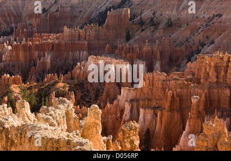 Rock pillars of eroded limestone in the Pinnacles Desert, Nambung ...