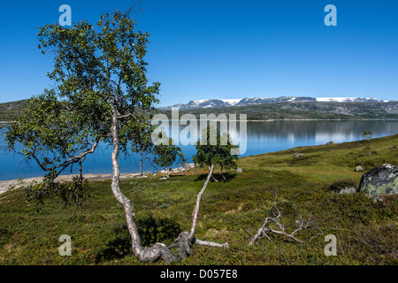 Sysen Dam Reservoir, Hardangervidda, near Eidfjord Norway Stock Photo ...