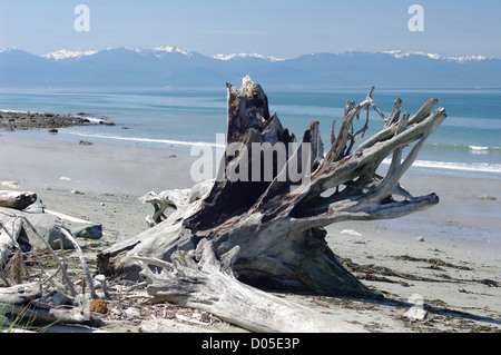 Mutiny Bay - Puget Sound as viewed from West Beach, Whidbey Island ...