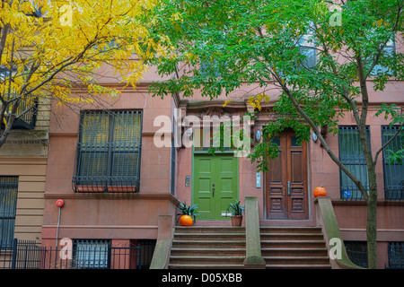 Harlem Row Houses in Autumn, New York City, New York, USA Stock Photo ...