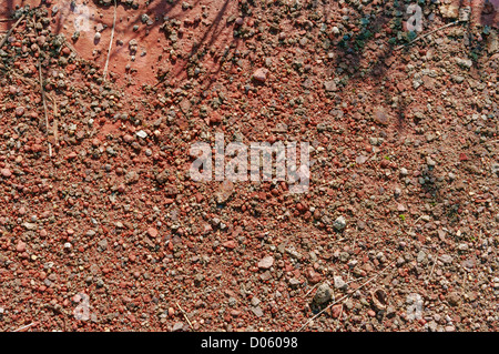 Decorative slate stone paving of path RHS Gardens Royal Horticultural Society garden Rosemoor ...