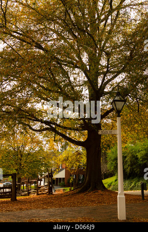Fall in Old Salem, Winston-Salem NC Stock Photo: 51768459 - Alamy