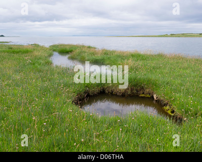 Mudflats in salt marsh, Bay of Fundy, Nova Scotia, Canada Stock Photo ...