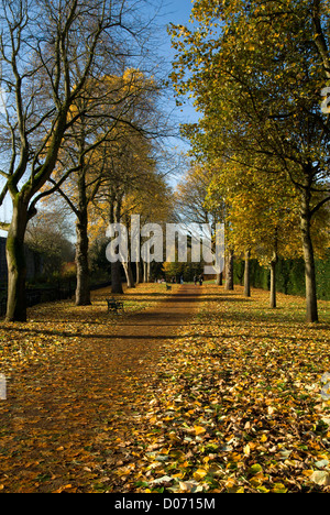 Autumn colours, Bute Park, Cardiff, Wales Stock Photo - Alamy