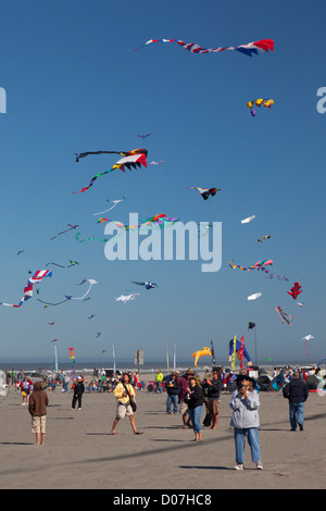 WA, Long Beach, International Kite Festival, Circoflex kites Stock ...