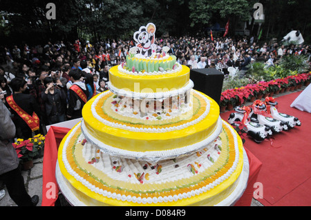 Panpan the panda's birthday Panpan, the archetype the mascot of the ...