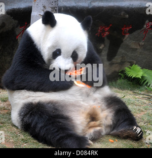 Panpan the panda's birthday Panpan, the archetype for the mascot of the ...