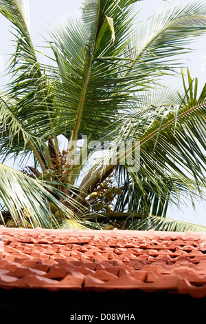 A typical Kerala model traditional house roof thatched with sun dried ...