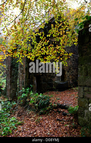 The remains of old wartime gunpowder factory on the River North Esk ...