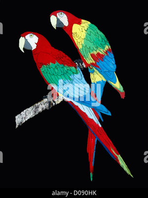 couple of red parrots sitting on perch Stock Photo - Alamy