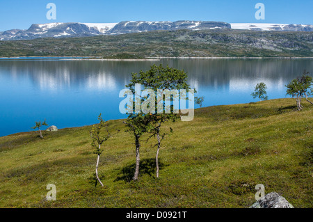 Sysen Dam Reservoir, Hardangervidda, near Eidfjord Norway Stock Photo ...