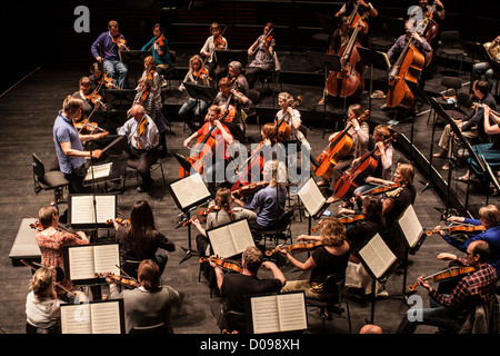 Eldborg Hall at the Harpa Concert Hall in Reykjavik, Iceland Stock ...