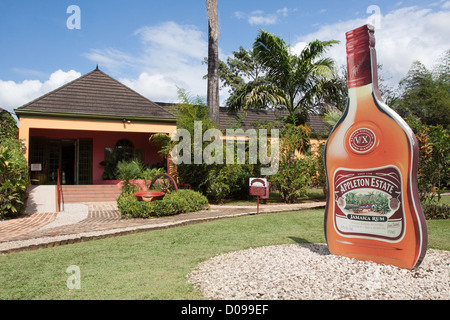 Appleton Estate rum distillery, Jamaica Stock Photo - Alamy