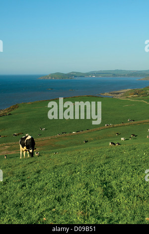 Hestan and Balcary Bay from above Portowarren on the Colvend Coast ...