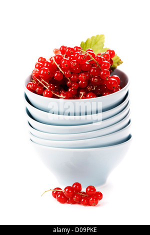 Red currant berries with leaf isolated on white background. Set or ...