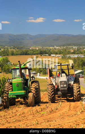 Cutting Corn, Dayton, Shenandoah Valley of Virginia, USA Stock Photo ...