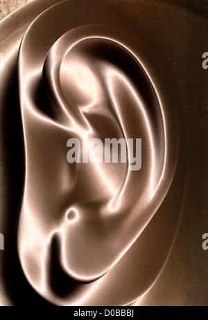 Ear as plaster cast Stock Photo: 60102081 - Alamy