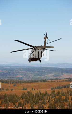 Spinning tail rotor of a Sikorsky UH-60 Blackhawk at HAATS, or High ...
