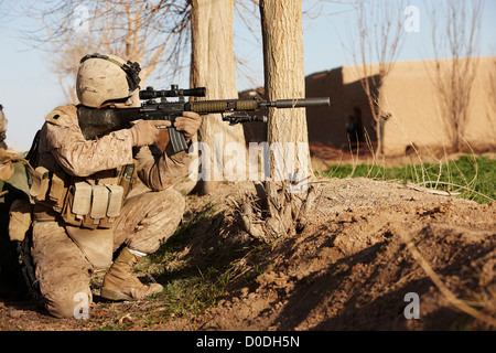 United States Marine aims a designated marksman rifle, Marjah ...
