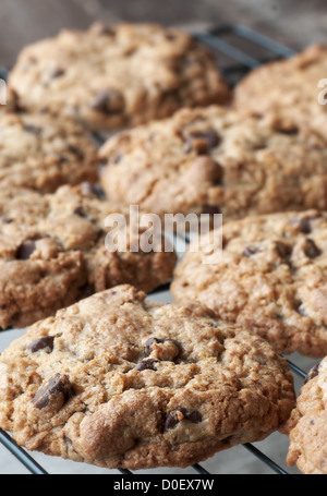 Homemade cookies fresh out of the oven Stock Photo - Alamy