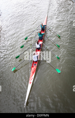 Coxless four rowing boat in water Stock Photo - Alamy