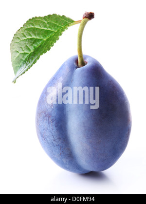 Plum fruit isolated on white background Stock Photo - Alamy
