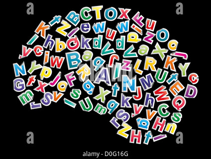 human brain in shape of letter w. suitable for brain, biology, medicine ...