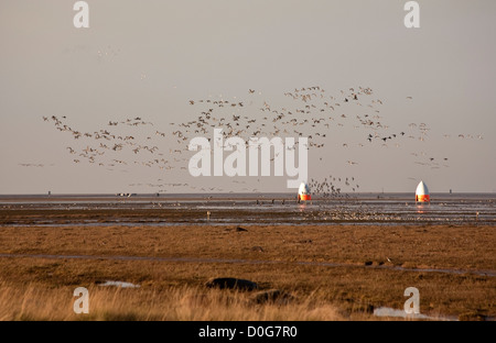 RAF firing range at Donna Nook on the Lincolnshire Coast UK Stock Photo ...