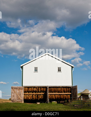 Tobacco curing barns Stock Photo - Alamy