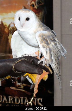 Owl at the premiere of 'Legend Of The Guardians' held at Grauman's ...