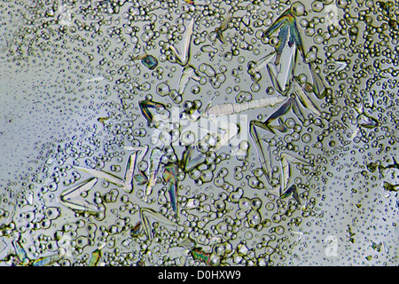 Oligomer Crystals from Dyed Polyester Fibers, Partly Crossed Polars ...