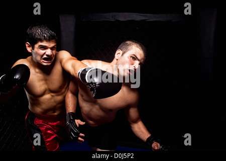 Mixed martial artists fighting - punching Stock Photo - Alamy