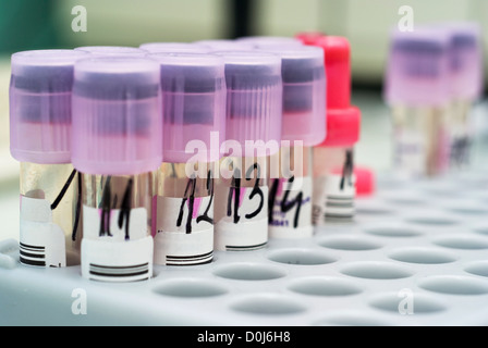 violet test tubes with numbers Stock Photo - Alamy