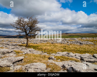 Ingleborough and Moughton Scars in the Yorkshire Dales, UK Stock Photo ...