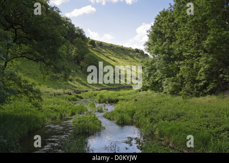 Scenic River Lathkill in Lathkill dale, Derbyshire Peak District ...