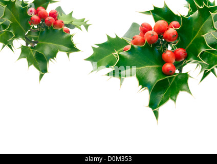 Sprigs of holly with red berries on top of the standing stones in ...