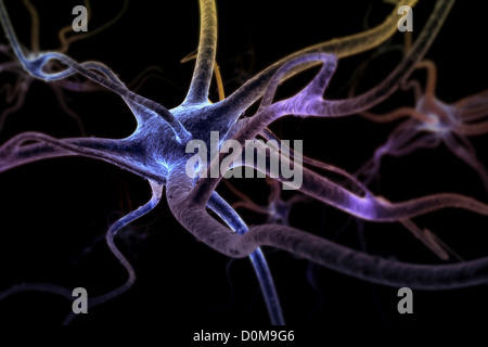 Stylized neuron cells from within the human nervous system Stock Photo ...